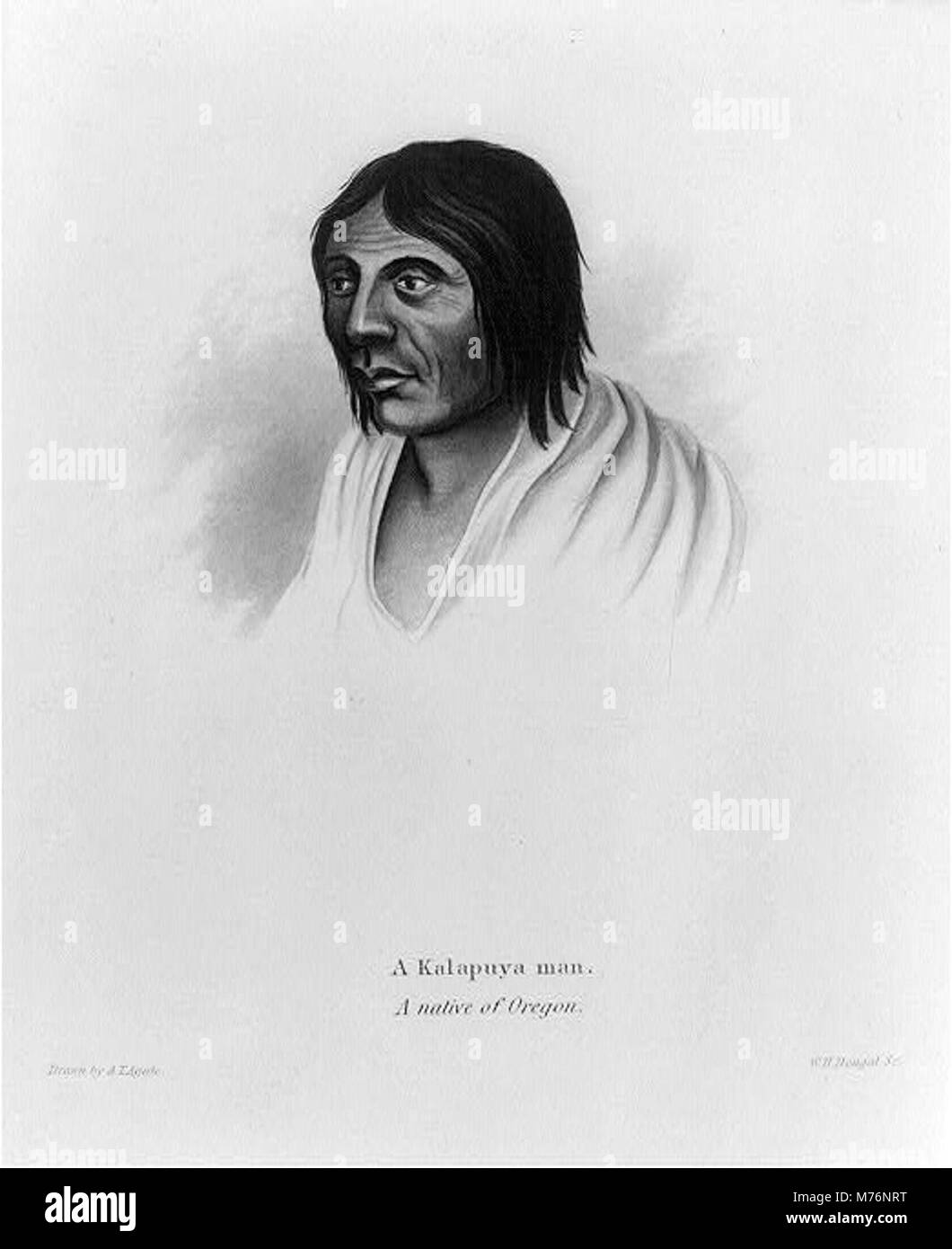 This drawing depicts a Kalapuya man, a Native American from Oregon. The ...