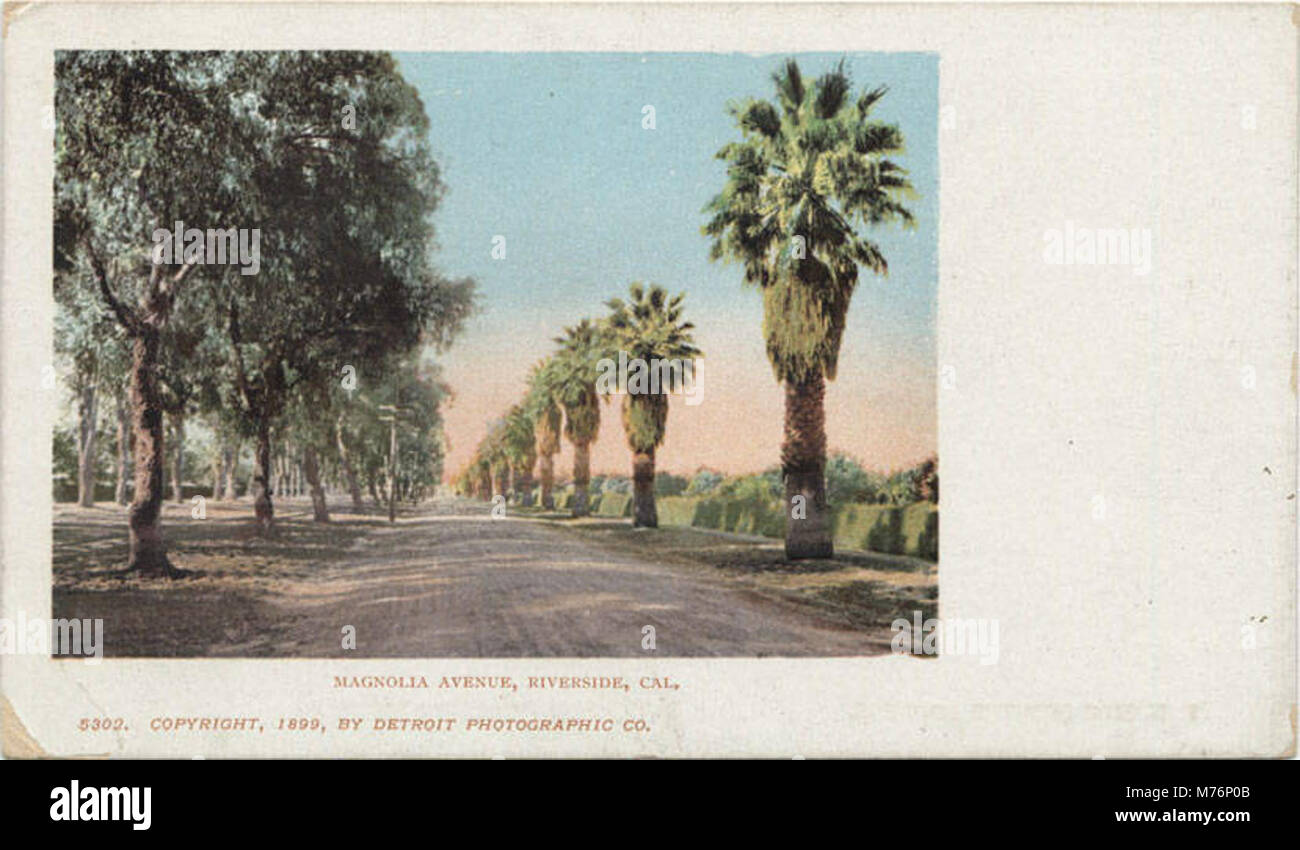 Riverside CA - Magnolia Avenue (NBY 431617 Stock Photo - Alamy