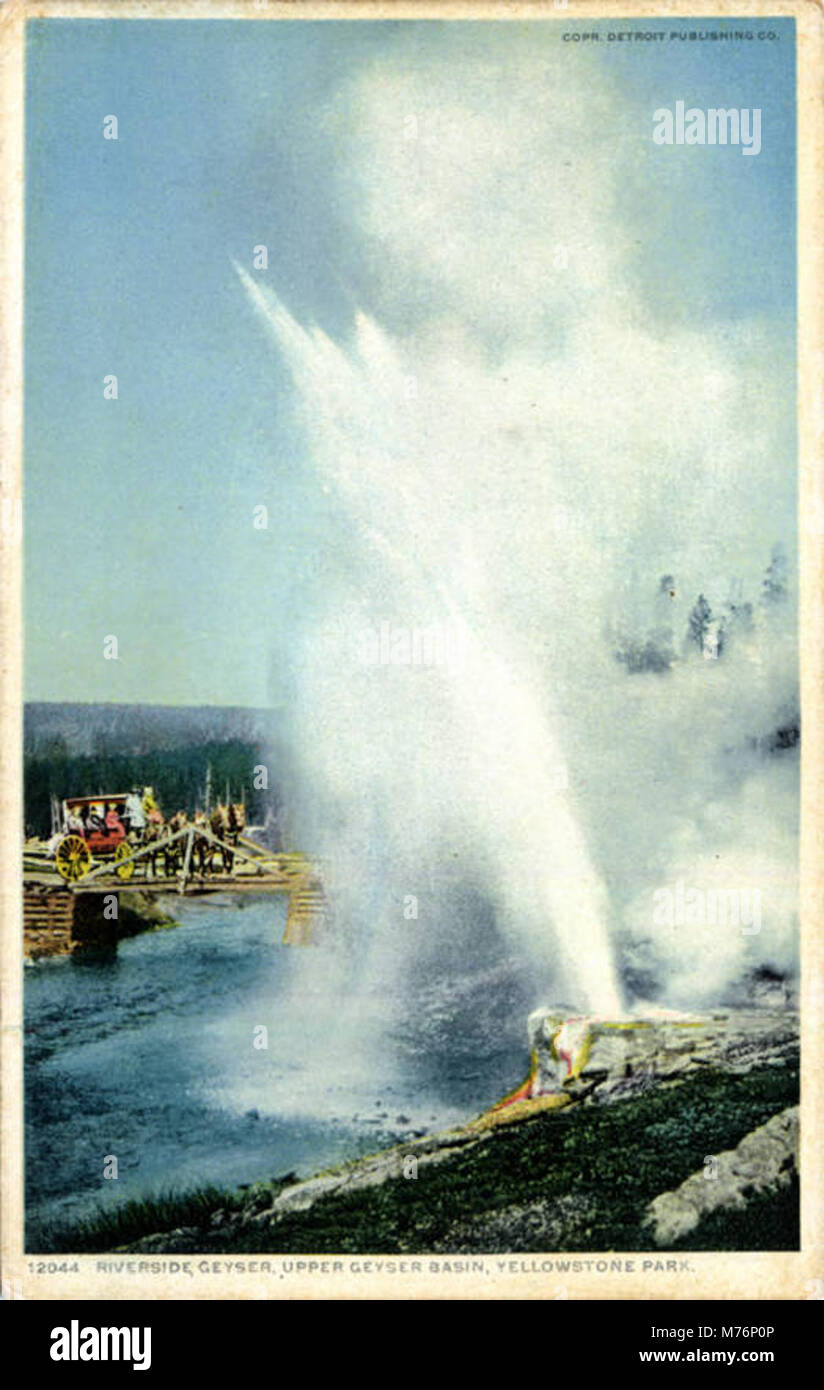 A photograph of Riverside Geyser in the Upper Geyser Basin of ...