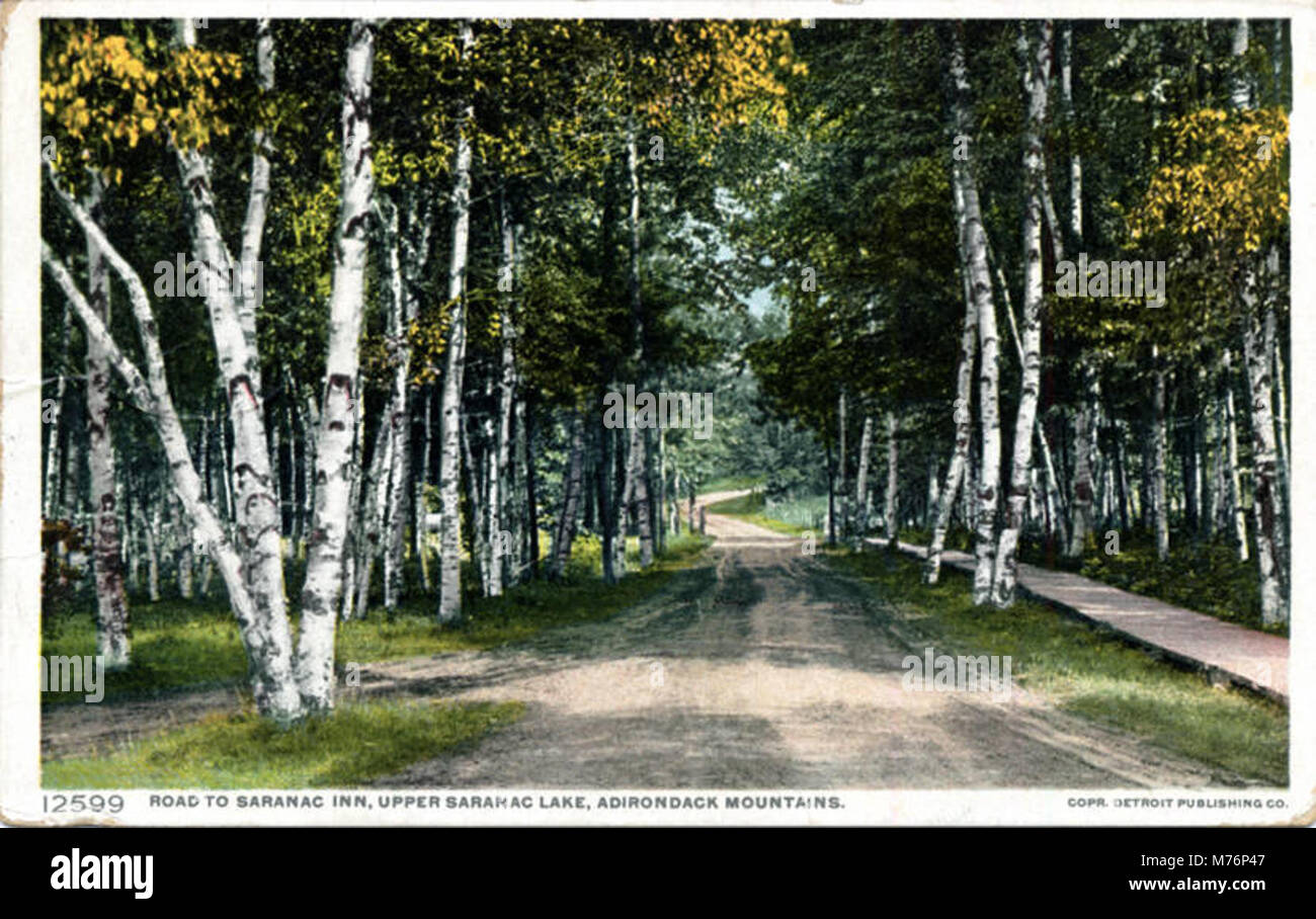 This photograph shows the road leading to Saranac Inn, located by Upper ...