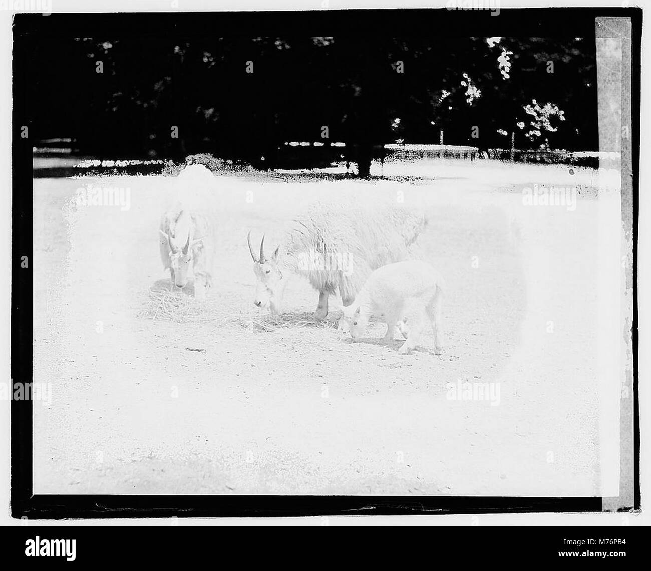 Rocky mountain systems Black and White Stock Photos & Images - Alamy