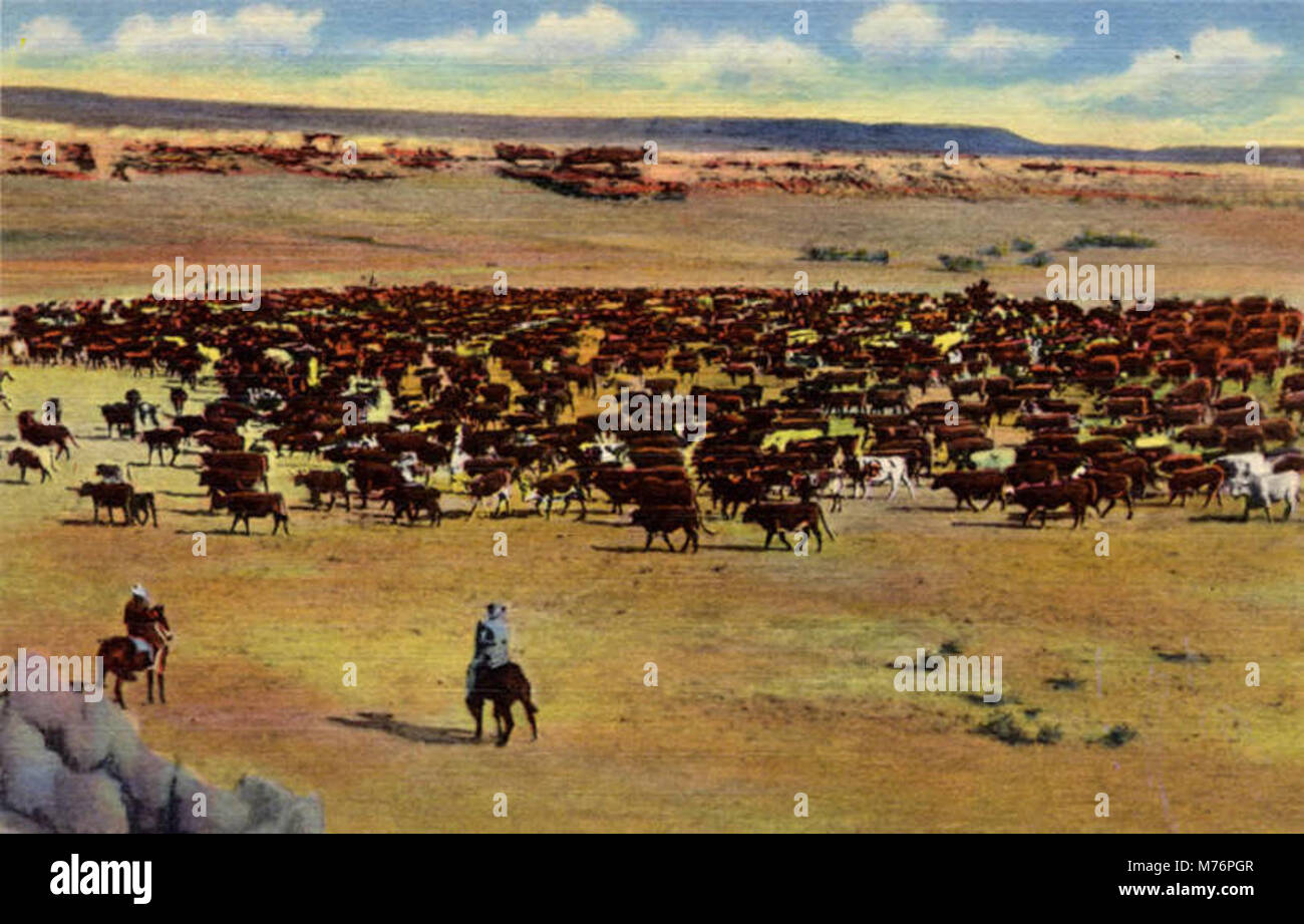 An image depicting a roundup on the range, showcasing cowboys and ...