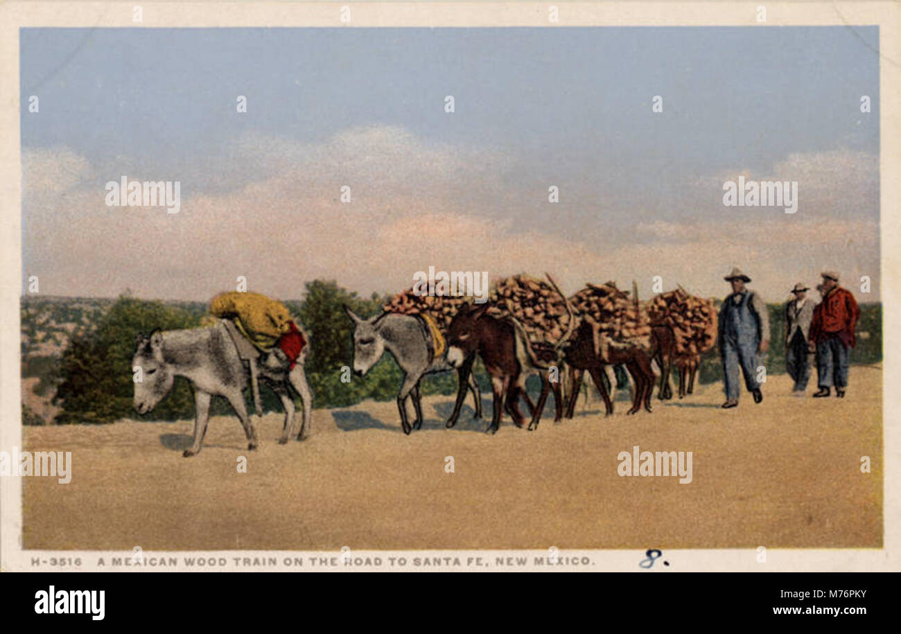 Mule pack train hi-res stock photography and images - Alamy