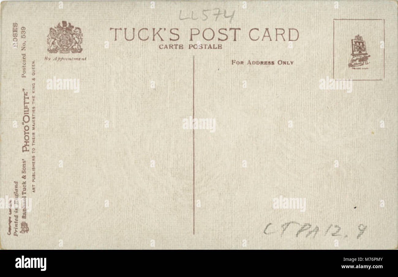 A botanical illustration of roses, numbered 539, showcasing the ...