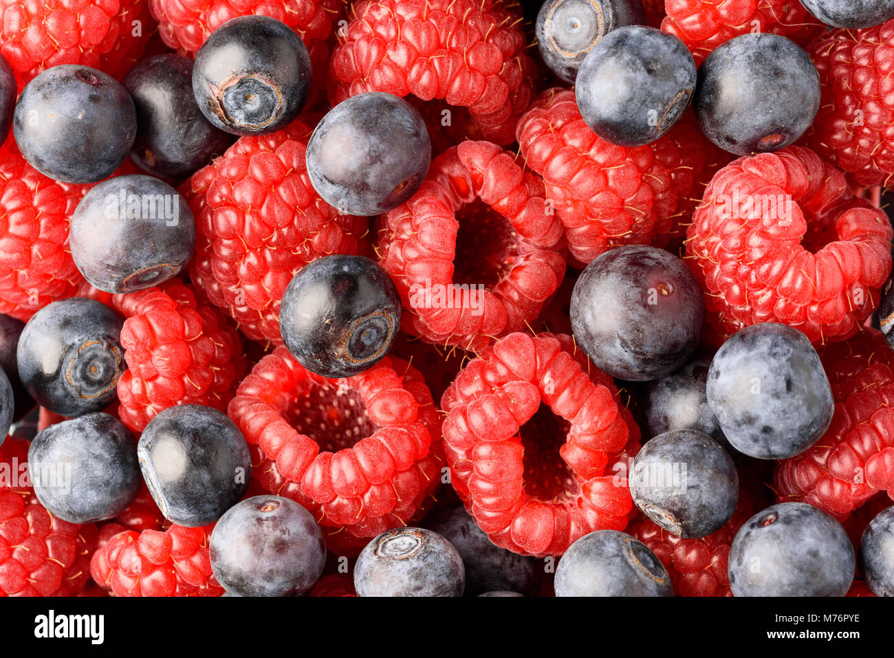 Fresh raspberries and blueberries together mix. Background blue and red ...