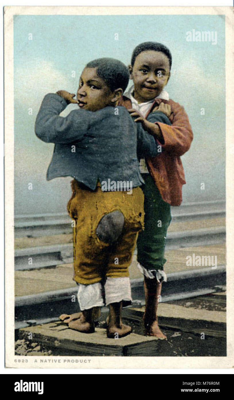 This image depicts a native product, likely from a rural or indigenous ...