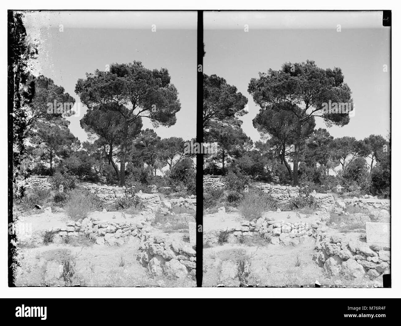 This image shows the remains of an ancient site, with scattered ruins ...