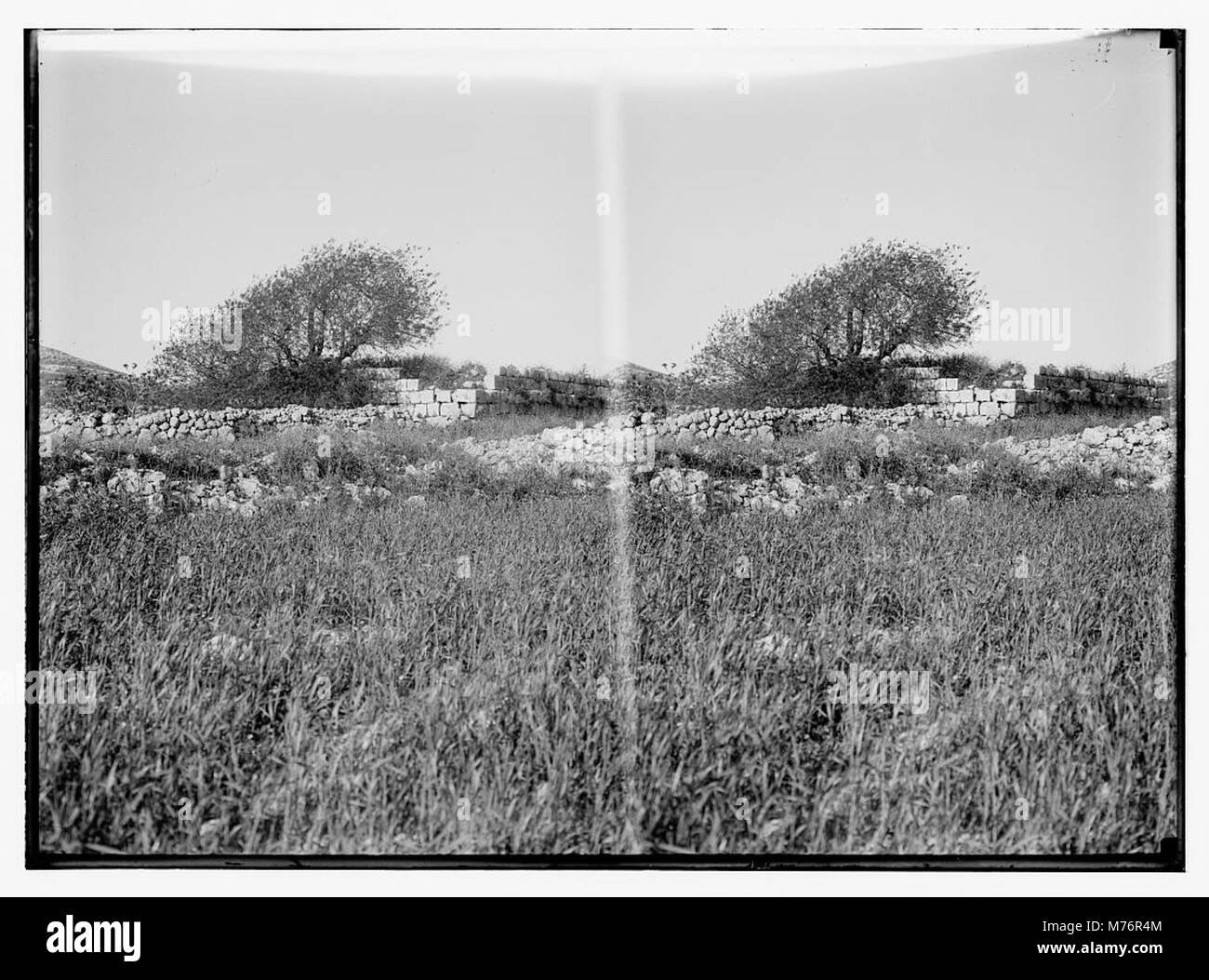 Showcasing remnants of ancient architecture Black and White Stock ...