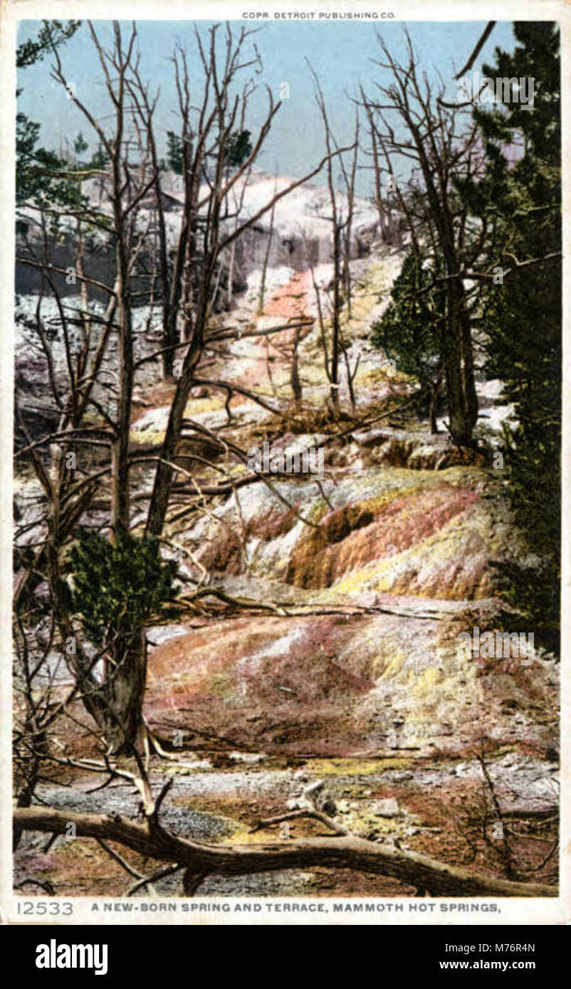 This image captures the natural beauty of Mammoth Hot Springs ...