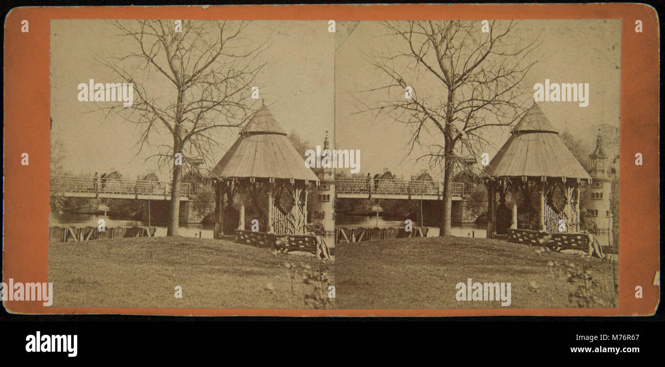 A view of the ruins in Union Park, Chicago, depicting the aftermath of ...