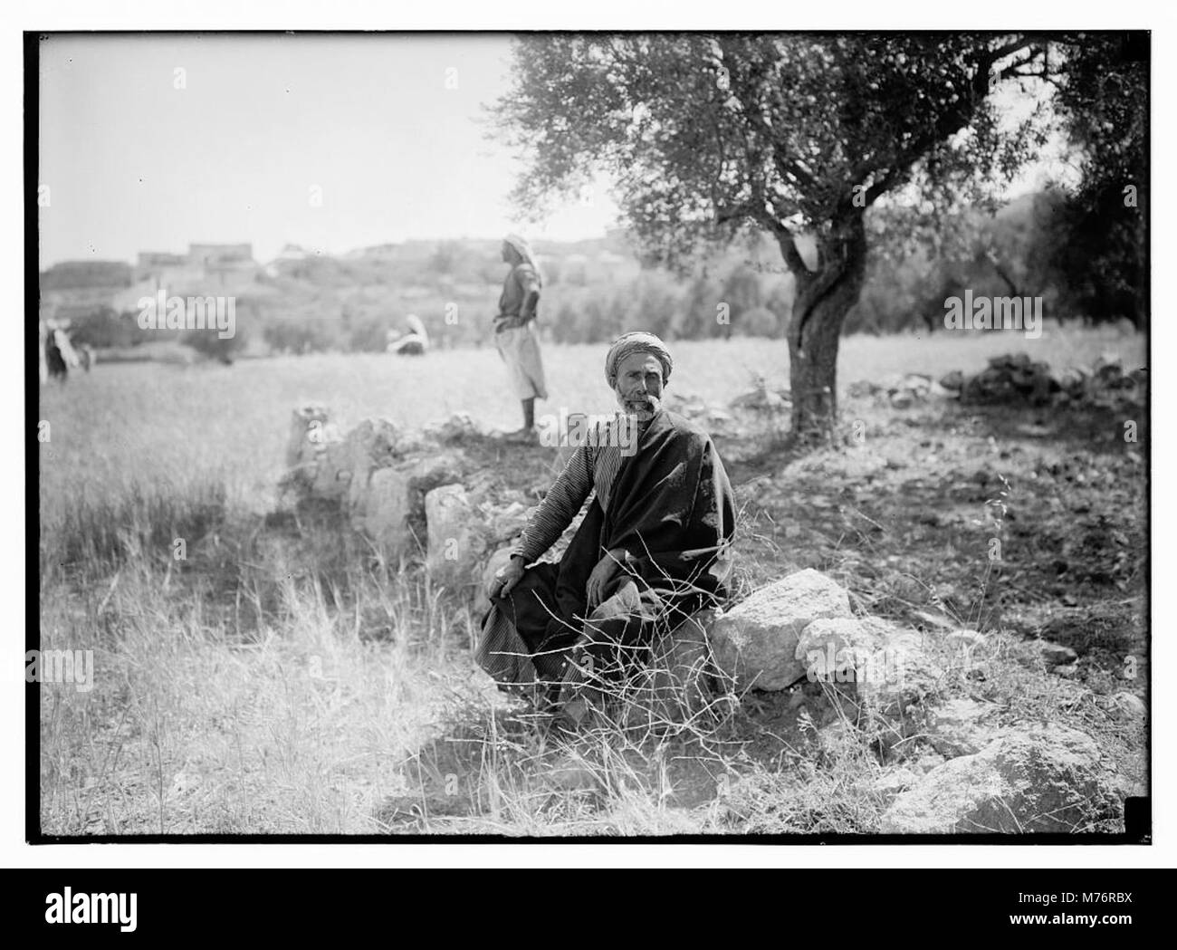 The Ruth series, depicting the story of Ruth the Moabitess, focuses on ...