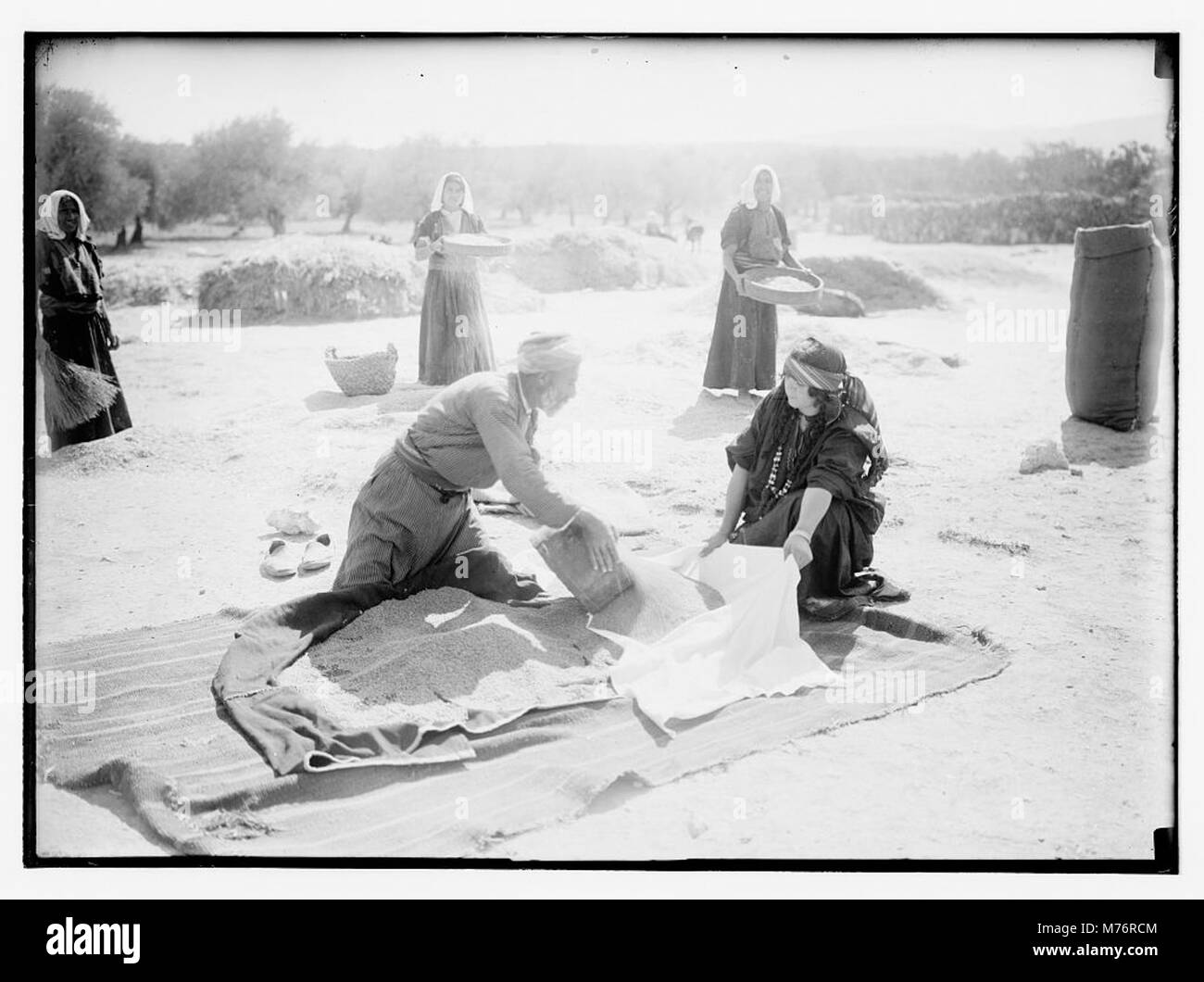A series of photographs depicting scenes from Beit Sahur and Bethlehem ...