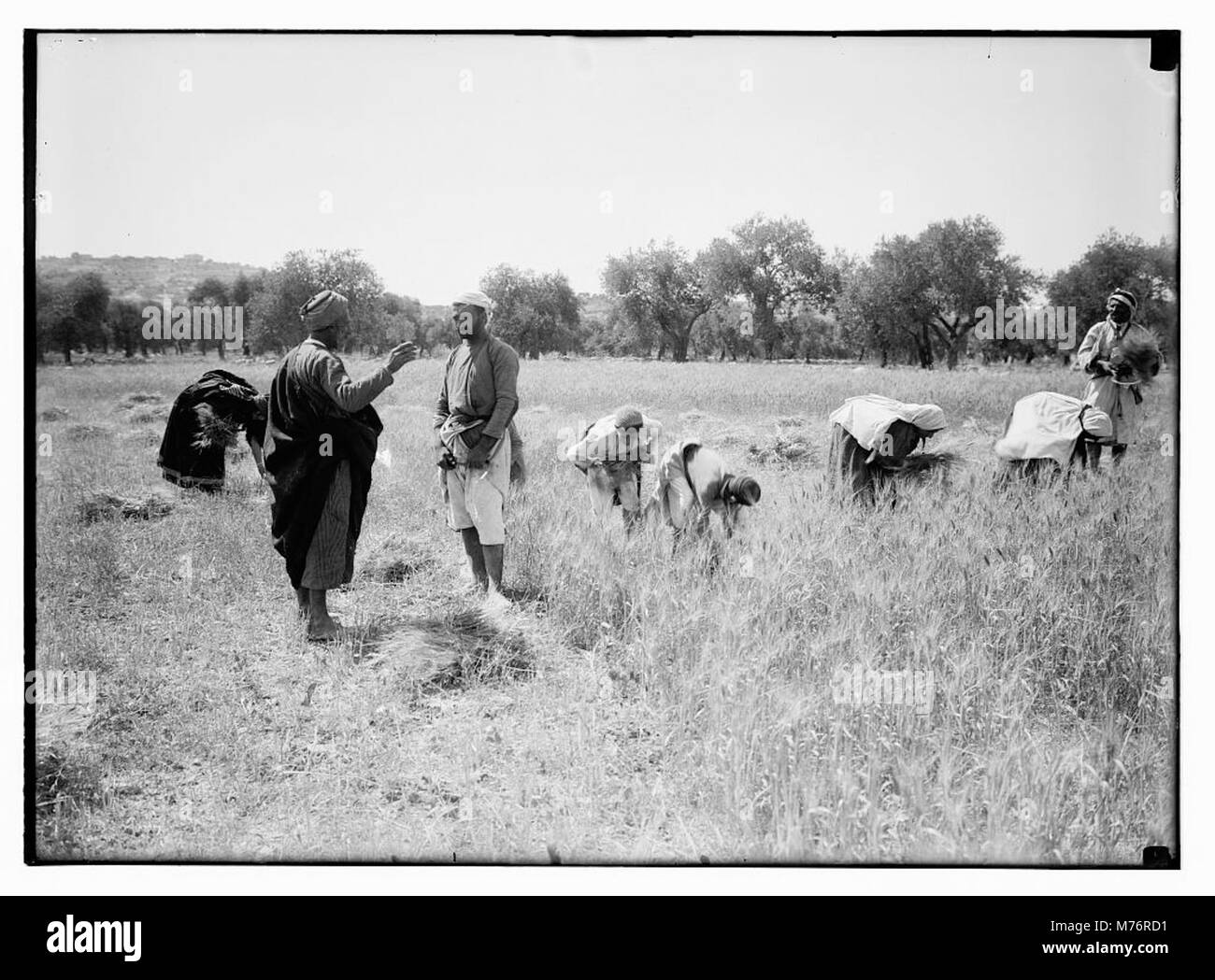 A scene from the Ruth series depicting the threshing floor, where ...