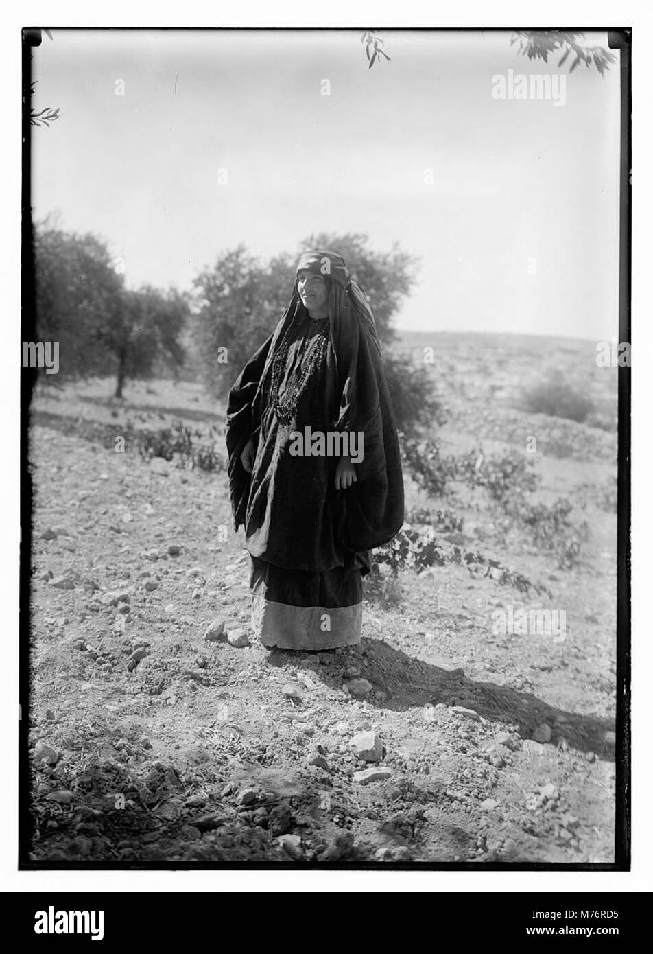 This photograph depicts agricultural activities on a threshing floor ...