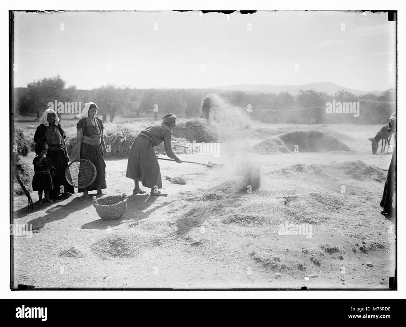 A series of images or illustrations documenting Ruth, possibly ...