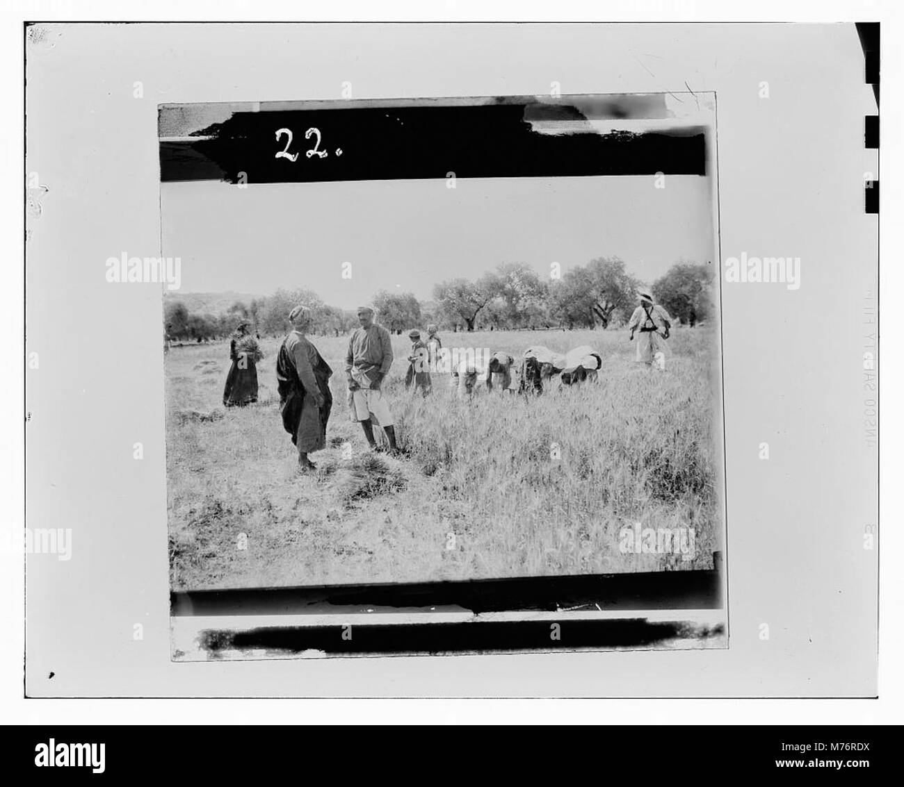 An illustration depicting Ruth the Moabitess from the biblical ...