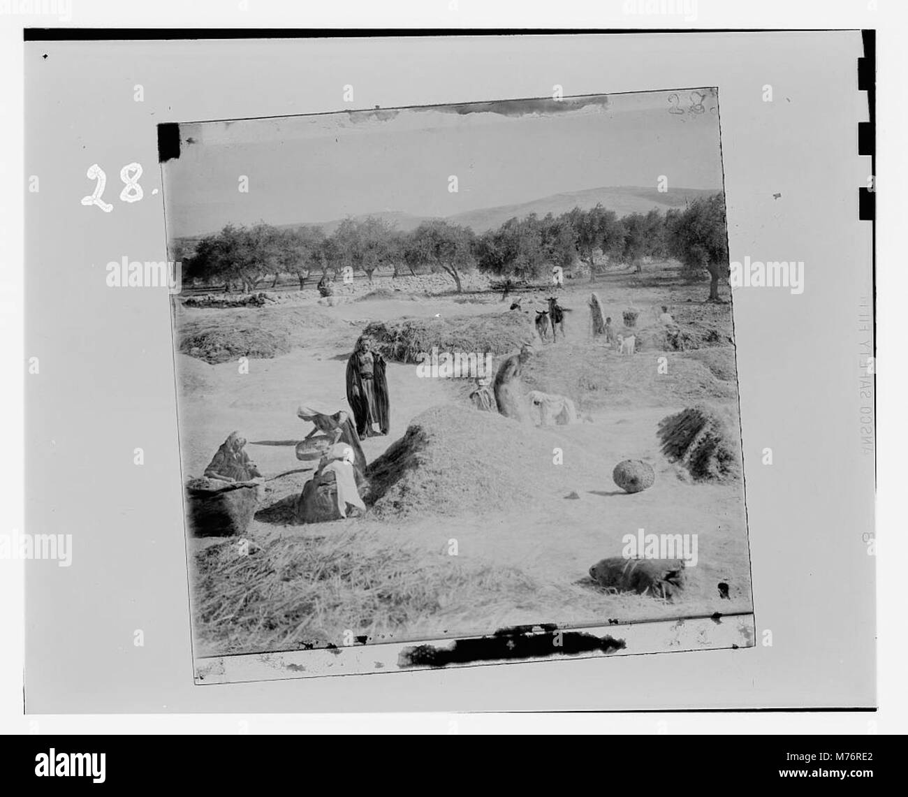 This historical image features Ruth the Moabitess, a figure from the ...