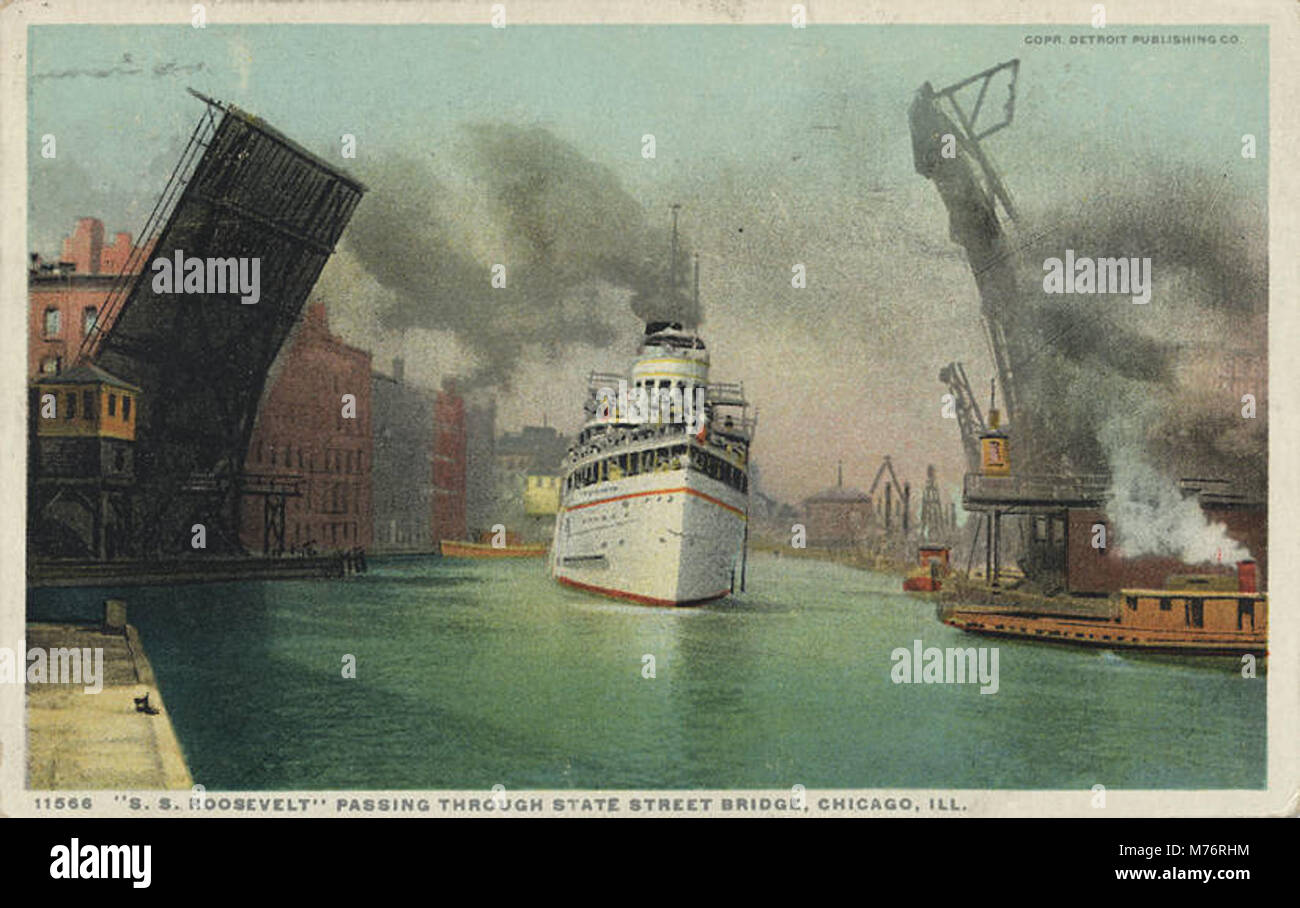 The S.S. Roosevelt, a passenger ship, is seen passing under the State ...