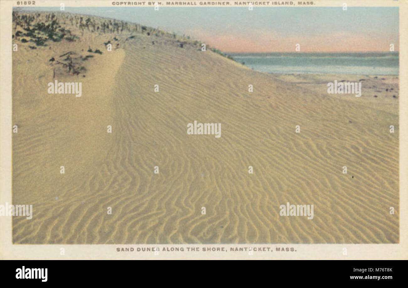 A photograph depicting sand dunes along a coastal shore, capturing the ...
