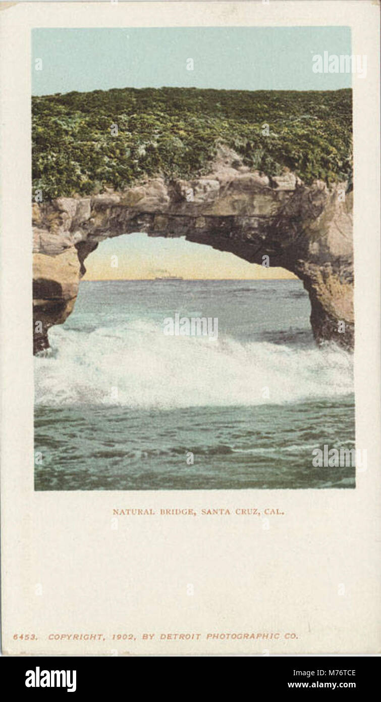 A photograph of the Natural Bridge in Santa Cruz, California ...