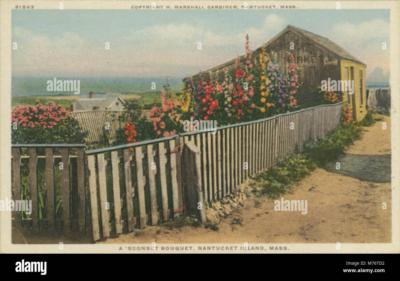 An image of a flower bouquet from Sconset, Nantucket Island, capturing ...