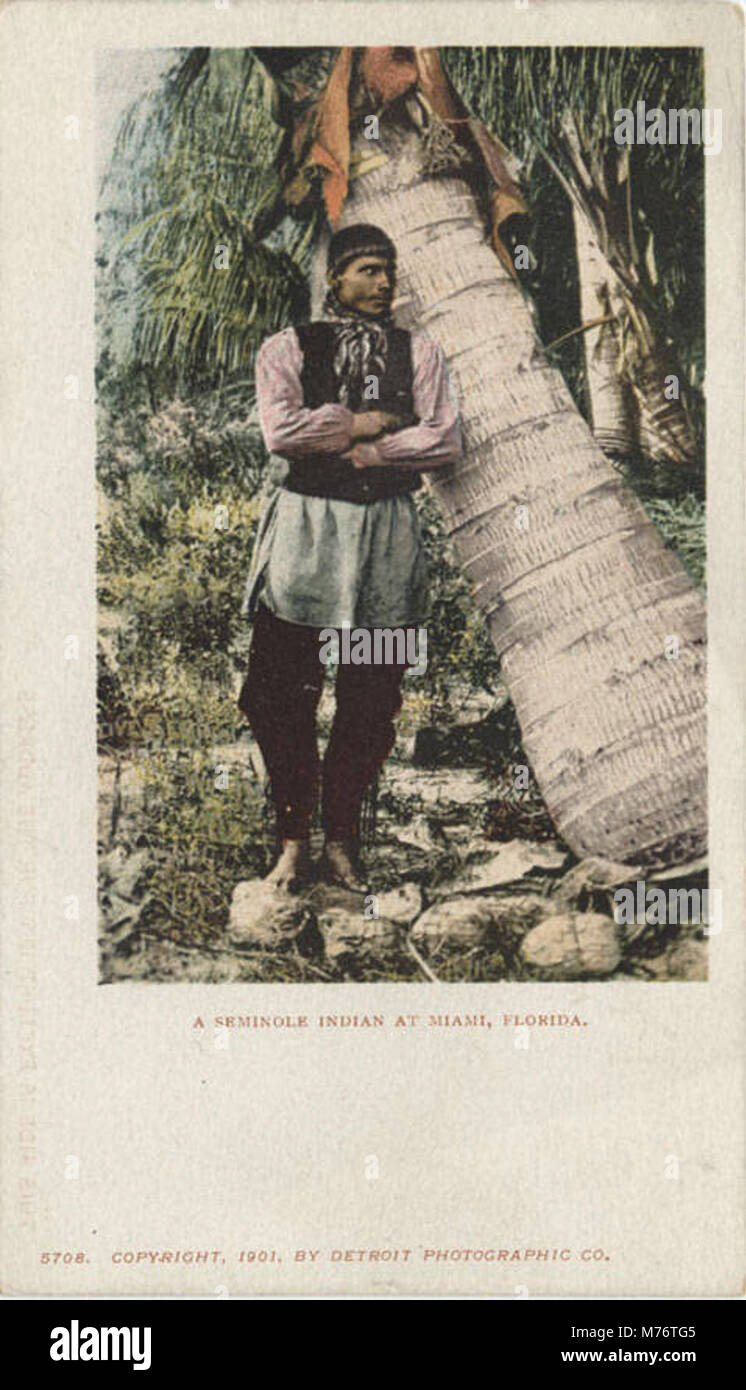 This portrait shows a Seminole Indian, highlighting the traditional ...