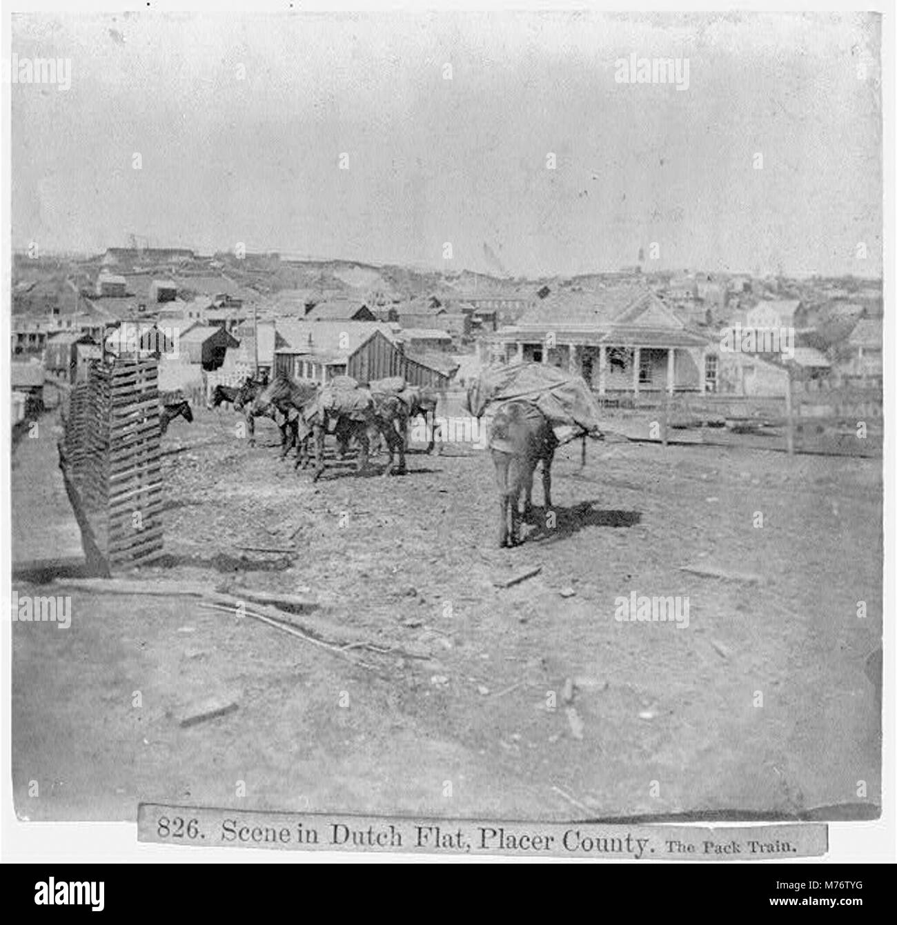 This image depicts a pack train traveling through Dutch Flat in Placer ...