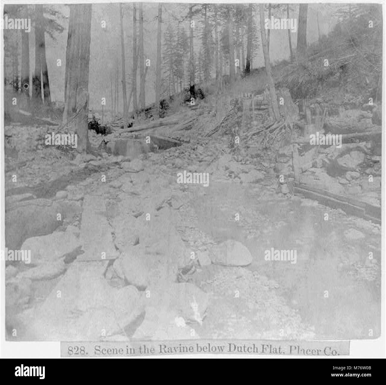 This photograph depicts a ravine in Placer County, California, located ...