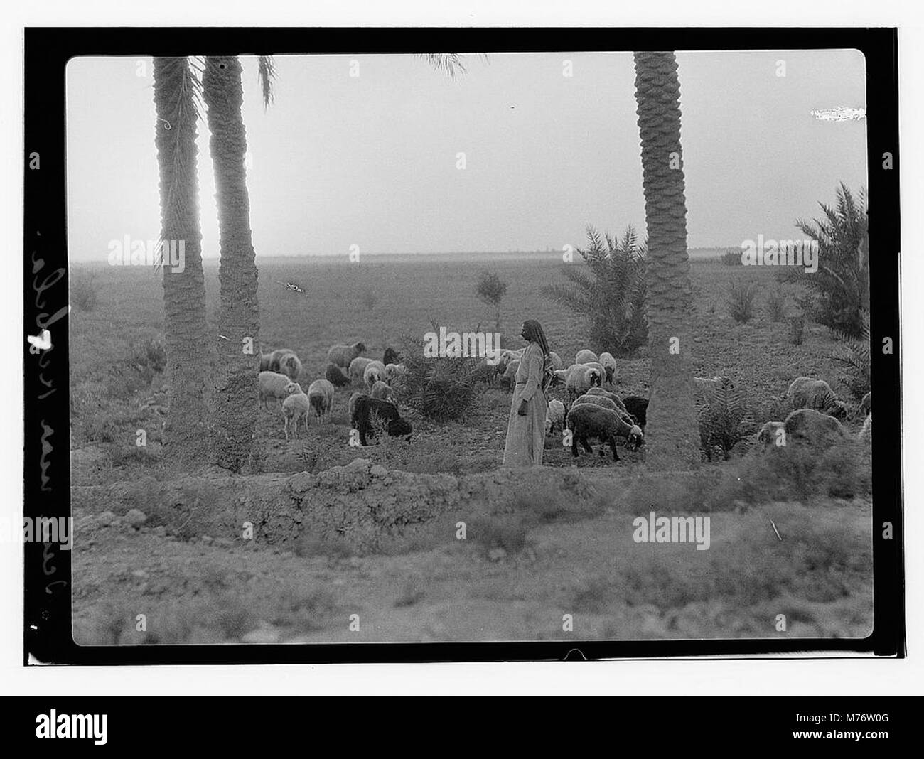 This photograph depicts a scene near Kerbela, Iraq, an important site ...