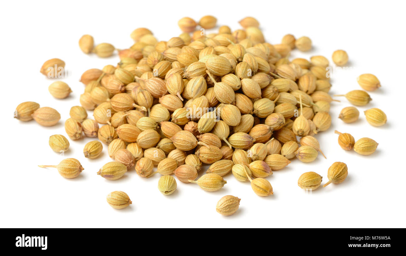 closeup of dried coriander seeds isolated on the white background Stock Photo - Alamy