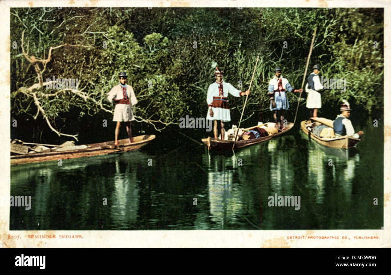 A photograph of Seminole Indians, likely from the early 20th century ...
