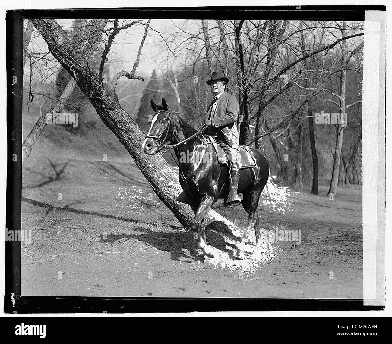 William borah hi-res stock photography and images - Alamy