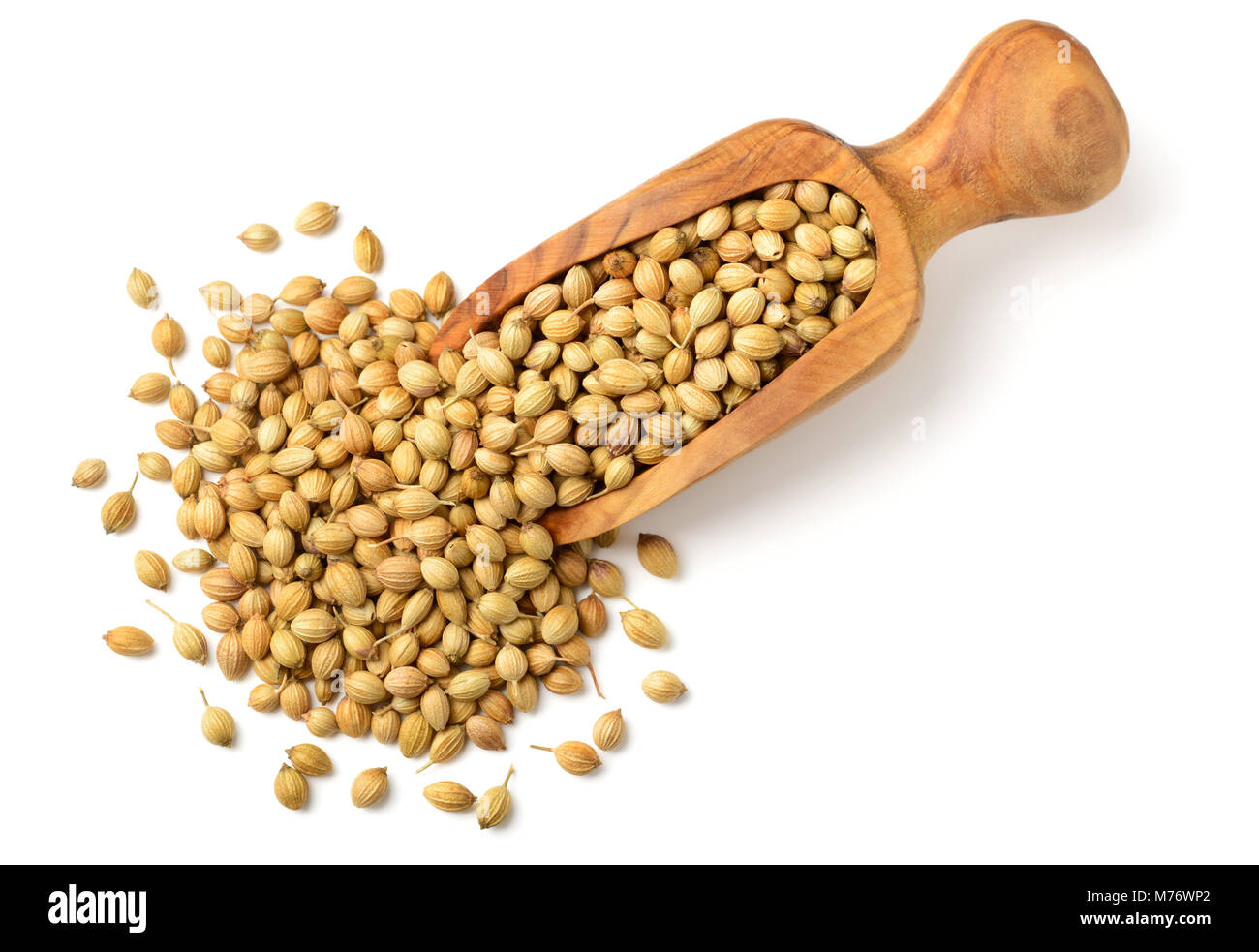 Dry coriander in yellow Cut Out Stock Images & Pictures - Alamy