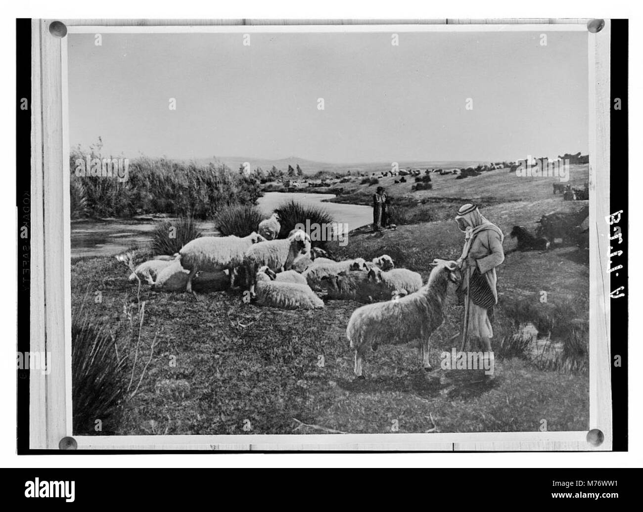 A set of slides illustrating shepherd life, depicting scenes from the ...