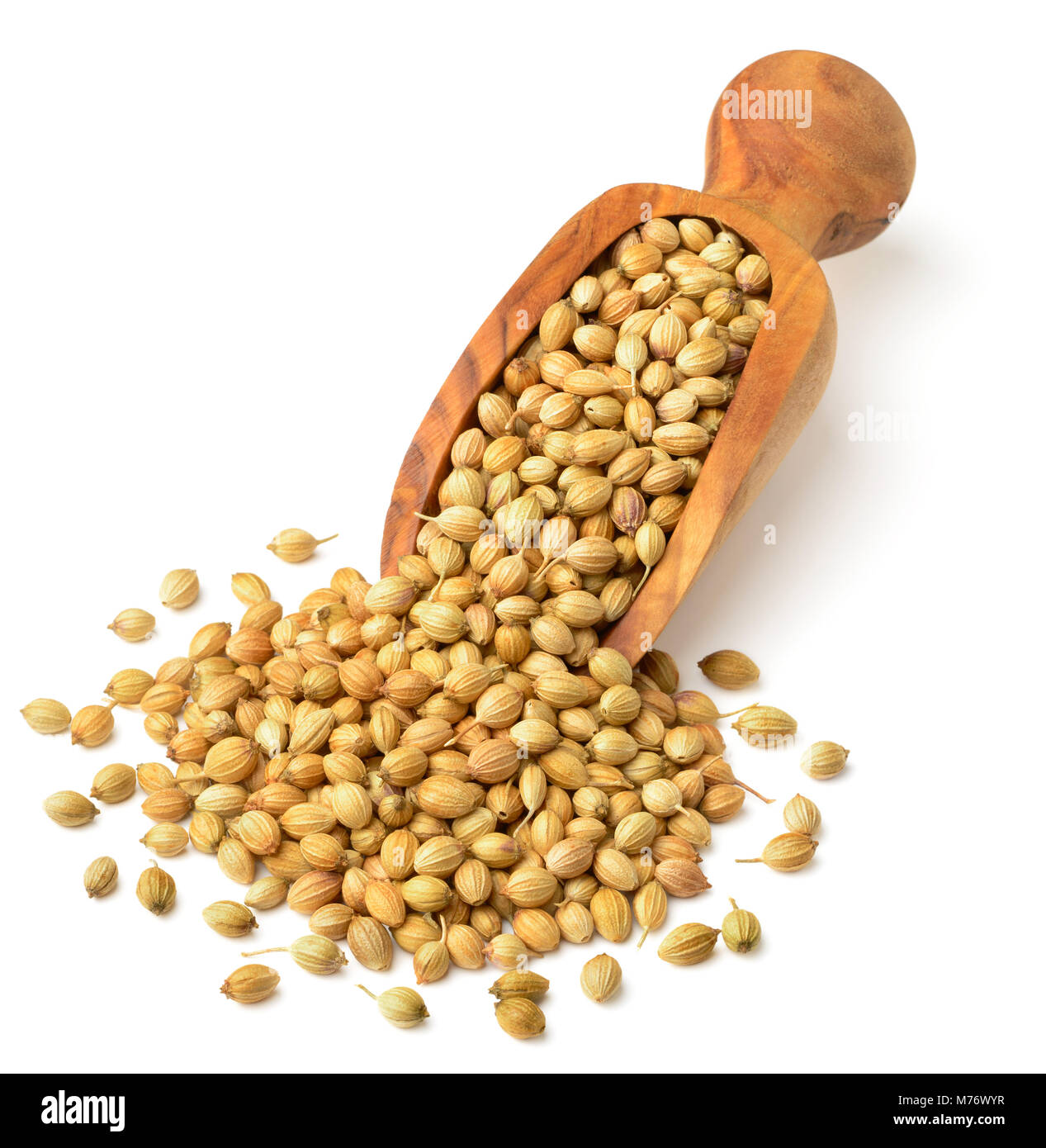 Dry coriander in yellow Cut Out Stock Images & Pictures - Alamy