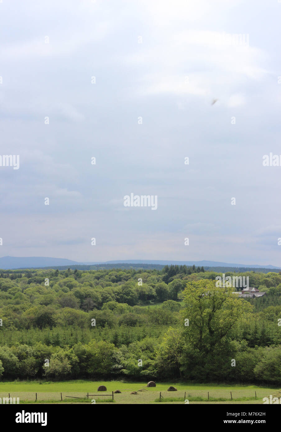 Devonshire countryside hi-res stock photography and images - Alamy