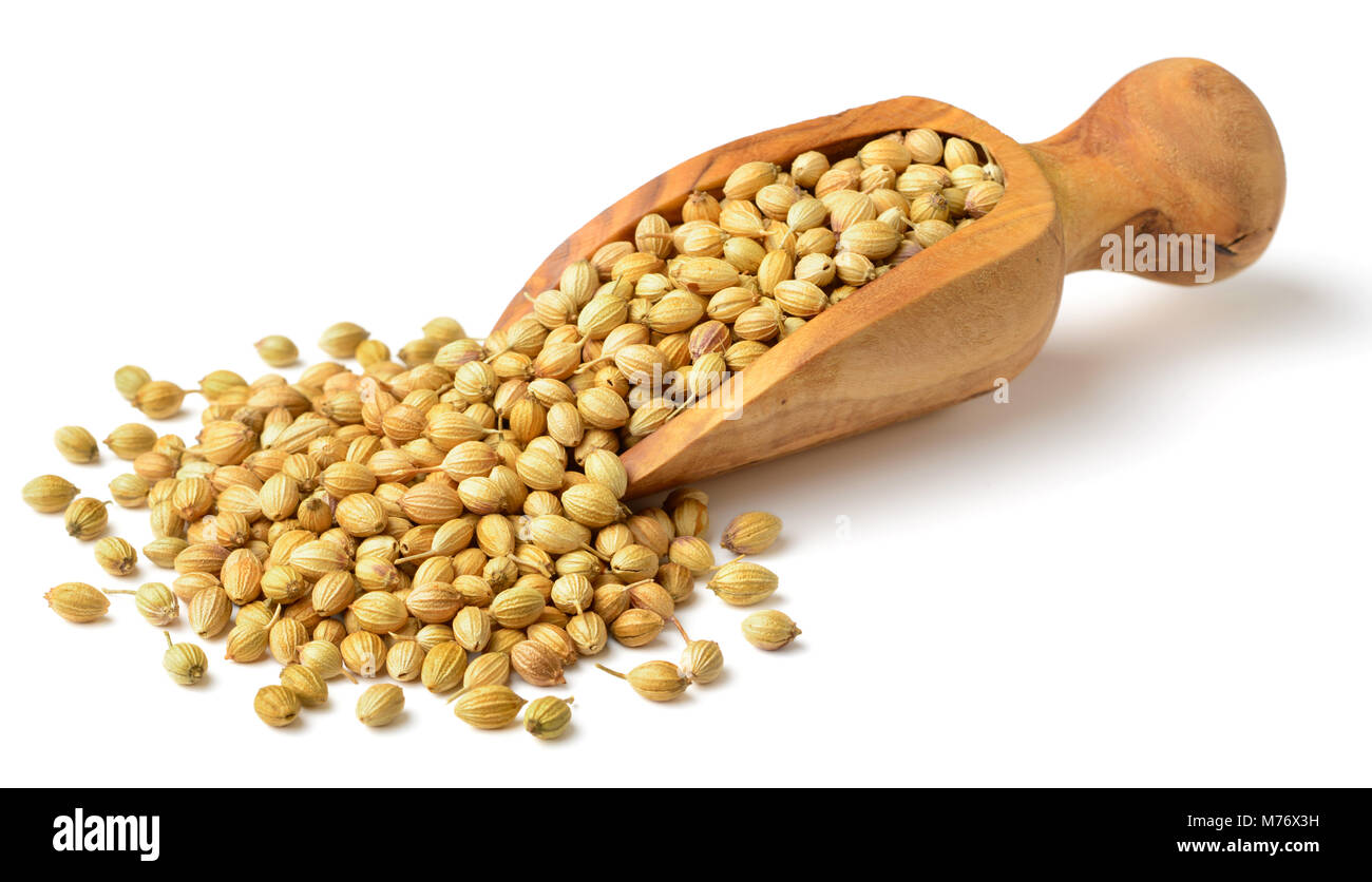 Dry coriander in yellow Cut Out Stock Images & Pictures - Alamy