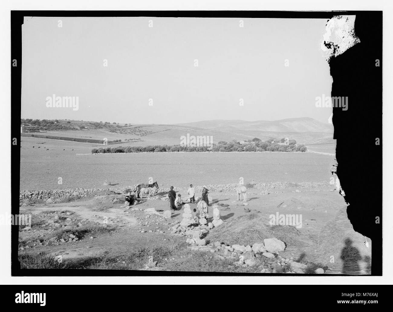 Shepherds' Fields in Bethlehem is a historically significant site where ...