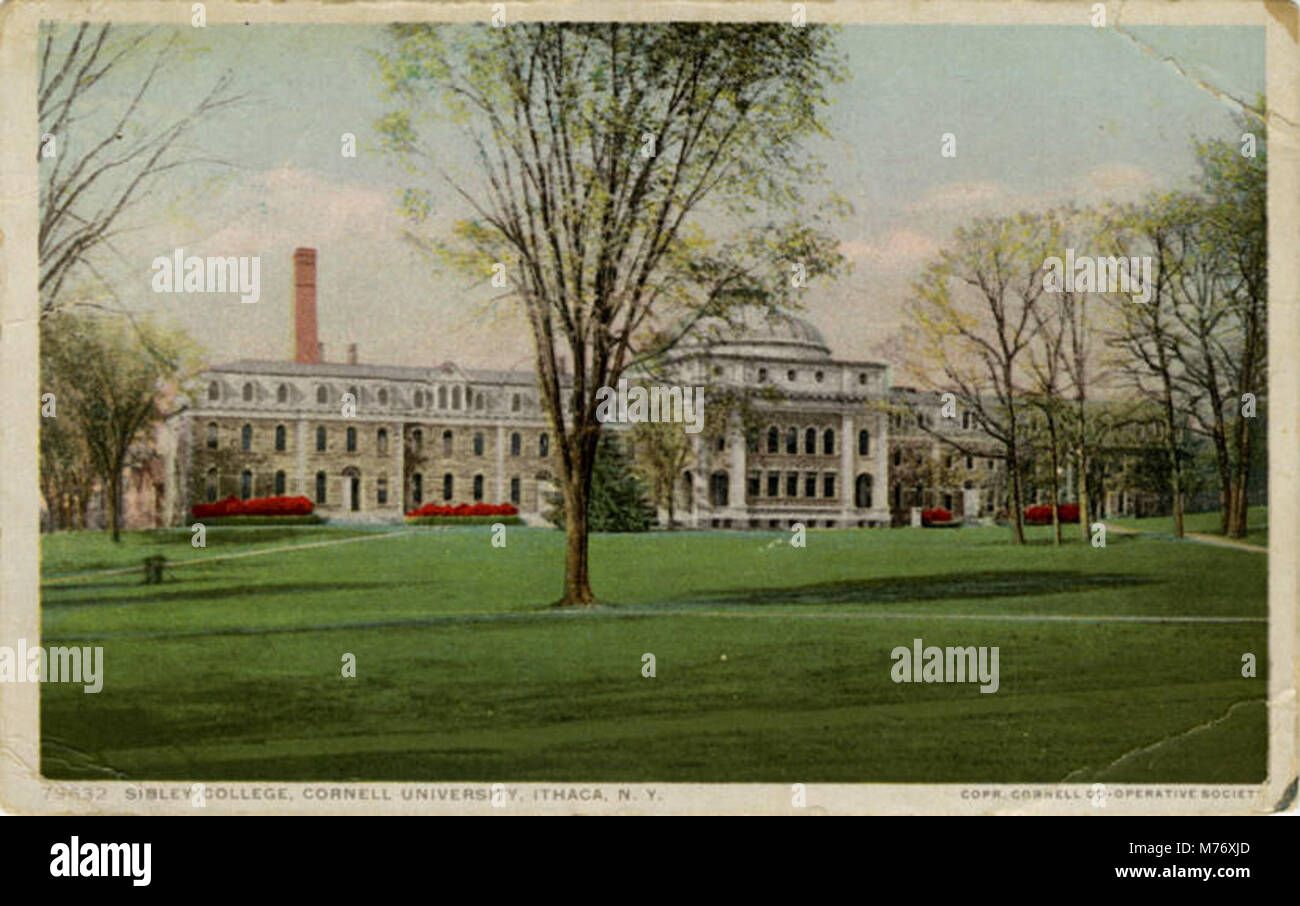 Sibley college hi-res stock photography and images - Alamy
