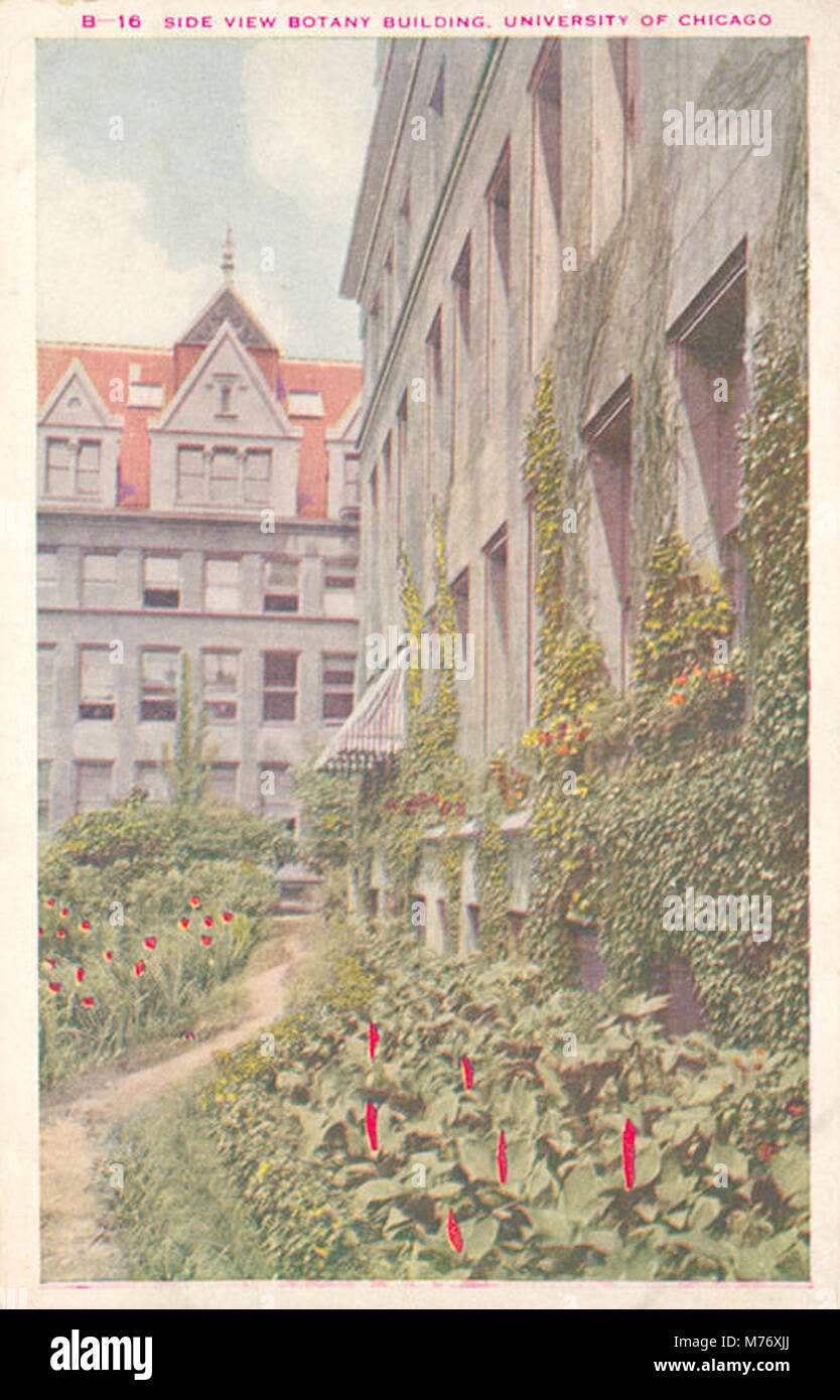 A side view photograph of the Botany Building at the University of ...