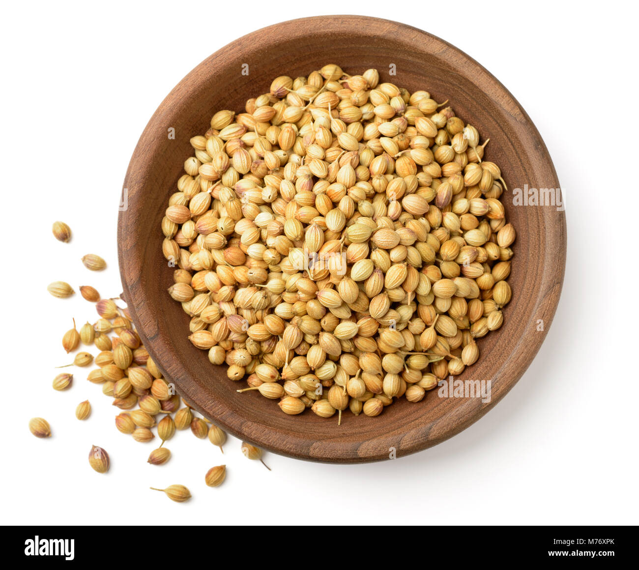dried coriander seeds in the wooden plate, isolated on white background ...