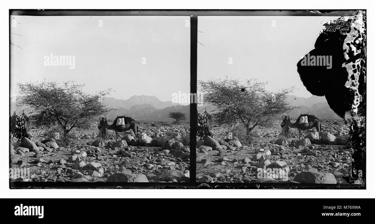 An image capturing the Sinai Peninsula, a historically and ...