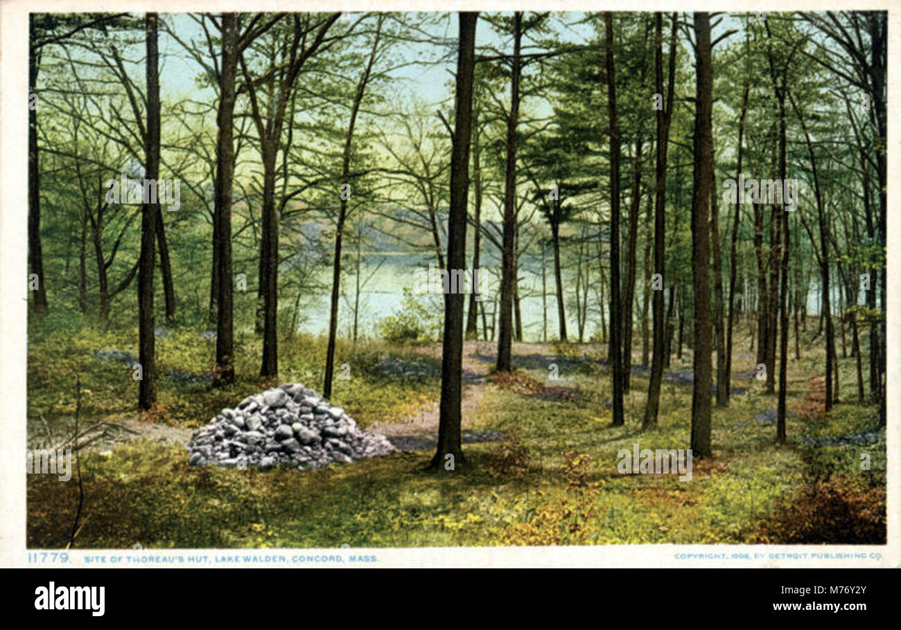 The site of Henry David Thoreau's cabin at Walden Pond represents a ...
