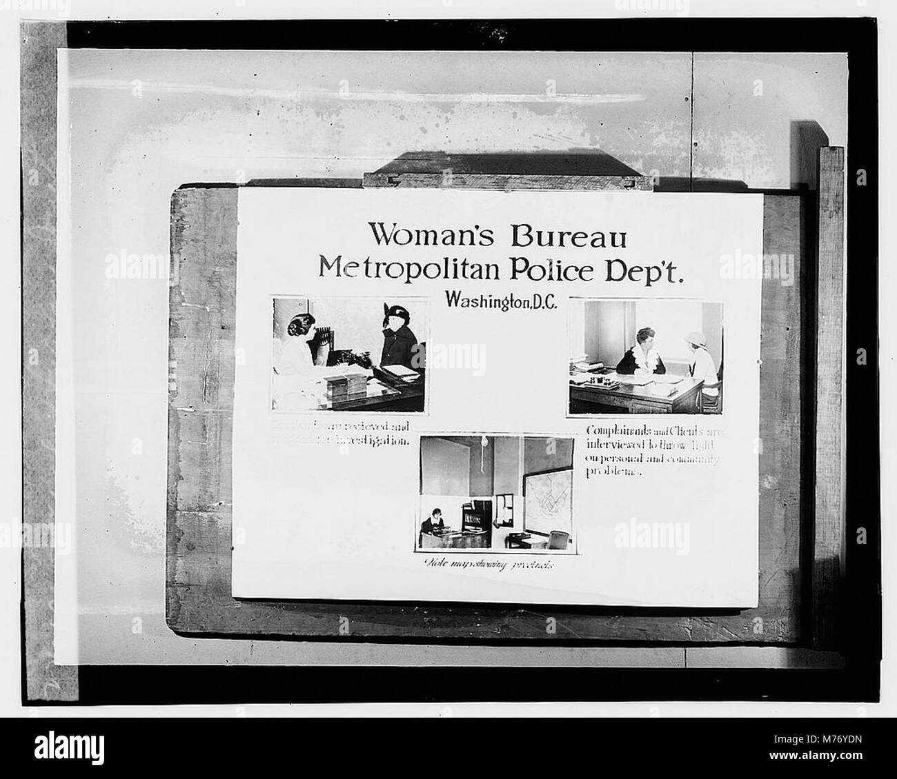 The photograph depicts an event or meeting of the Social Hygiene ...
