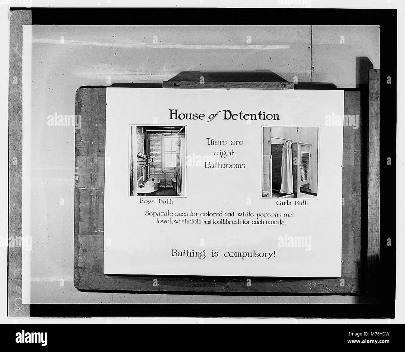 This image features the Social Hygiene Society, an organization focused ...