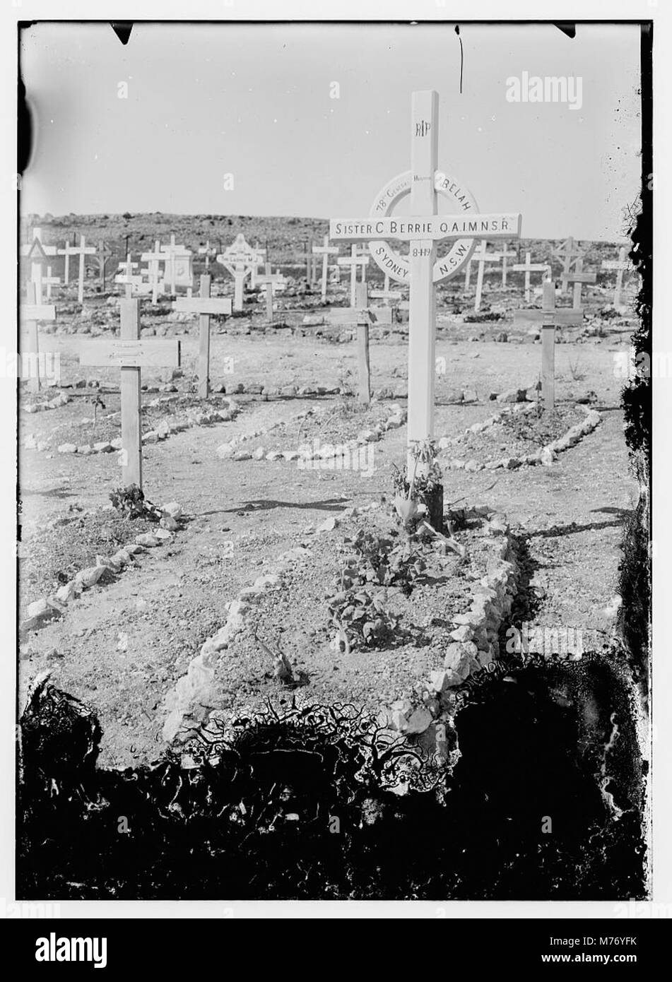 A photograph of soldiers' graves, likely from a military cemetery ...