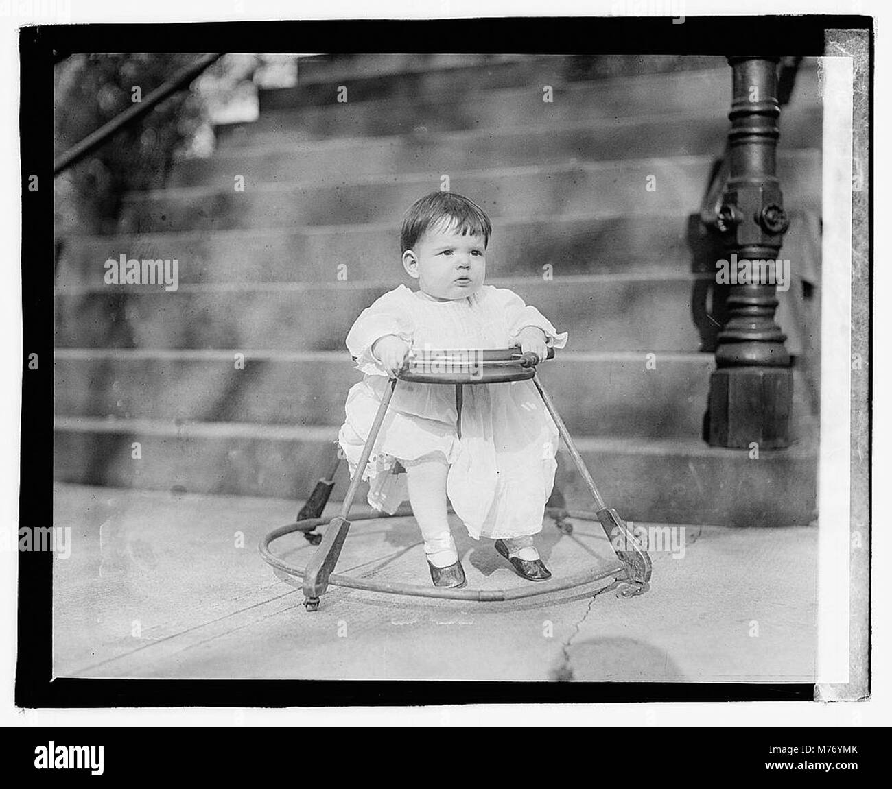 A photograph featuring a group of babies, emphasizing the early stages ...