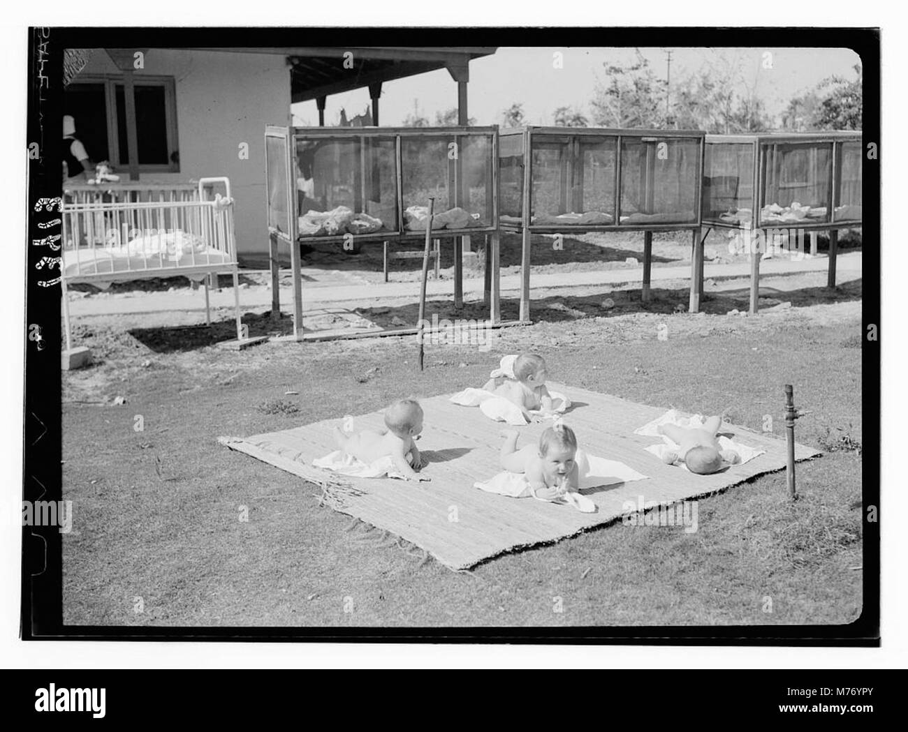 This photograph shows babies sunbathing on a garden lawn, offering a ...