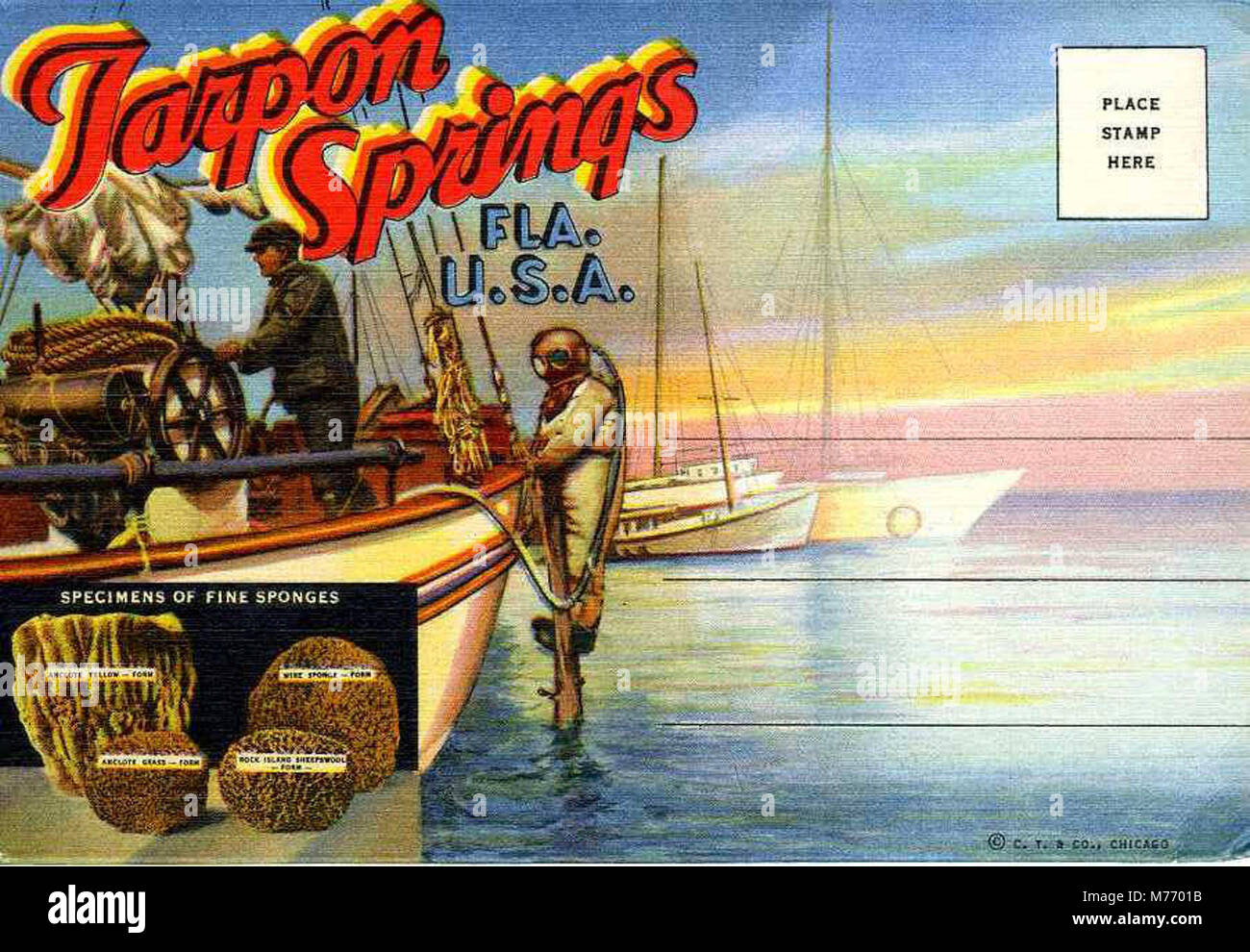 A collection of various sponge types including wire, wool, silk, finger ...