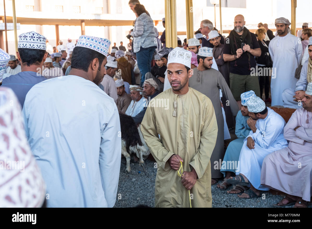 Livestock sheep goat nizwa oman hi-res stock photography and images - Alamy